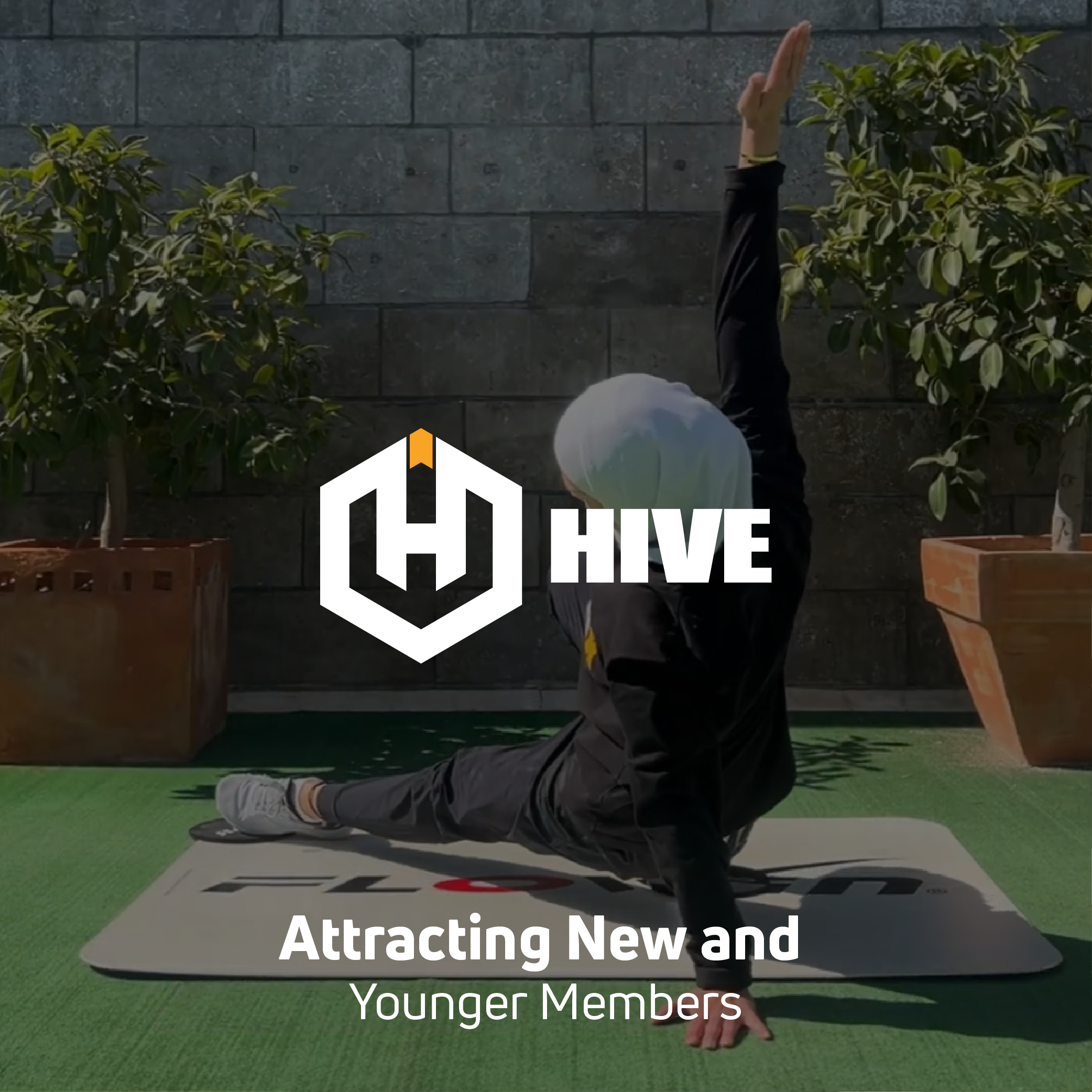 Hive Fit Nation - Martech Marketing Agency
